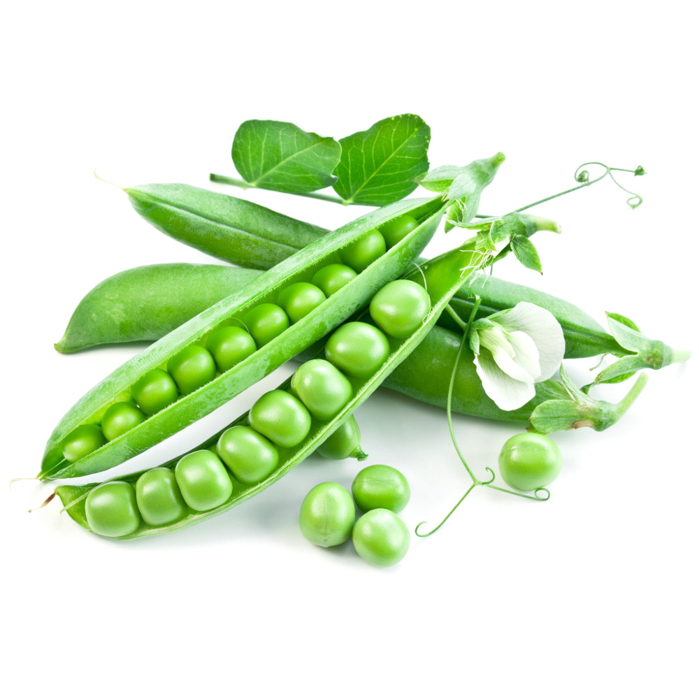 Grašak | Kuda u Kupovinu