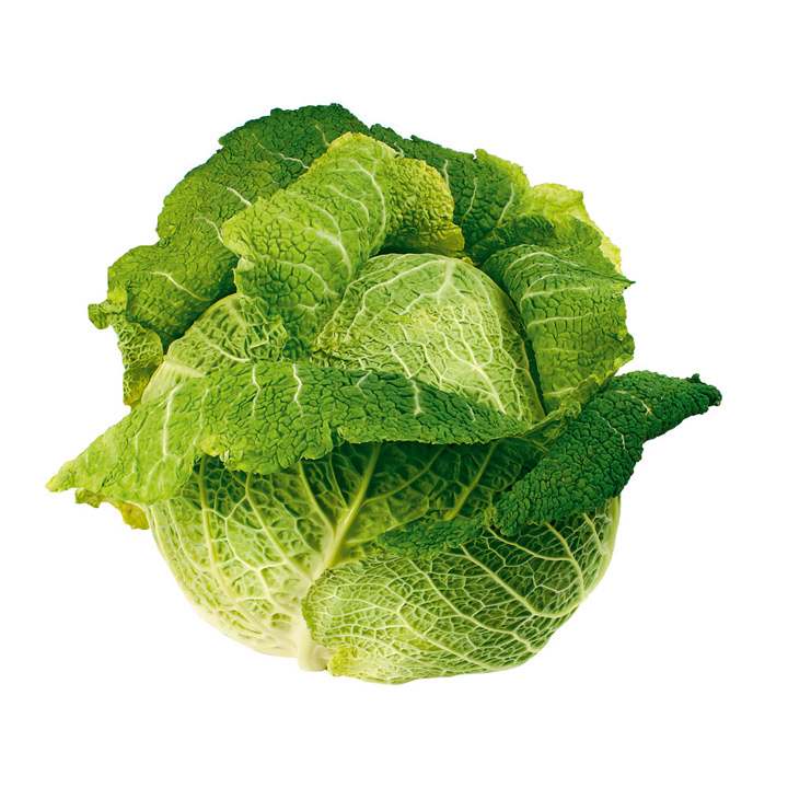 Kelj | Kuda u Kupovinu