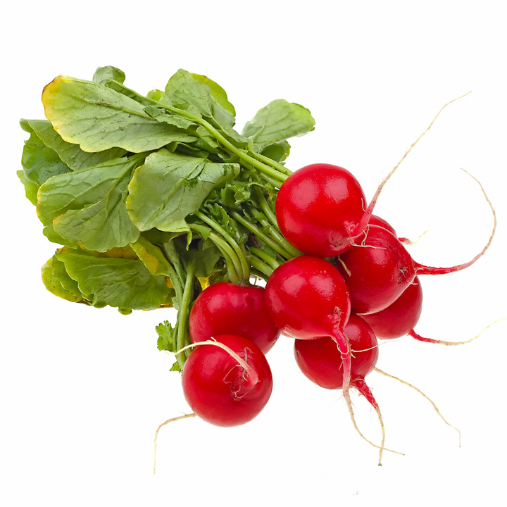 Rotkvica | Kuda u Kupovinu