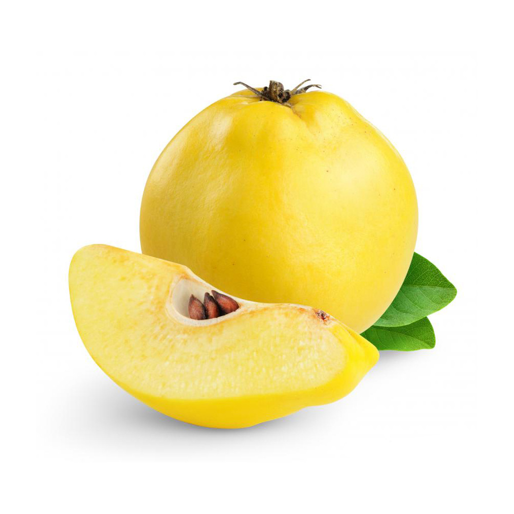 Dunja | Kuda u Kupovinu